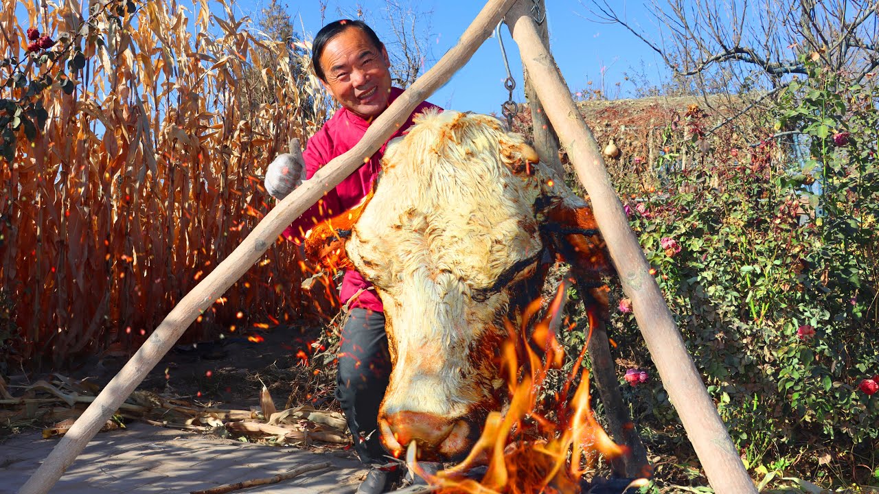 Huge Bull HEAD Burnt Till Golden! Stone Pressed over Night to Make It ...