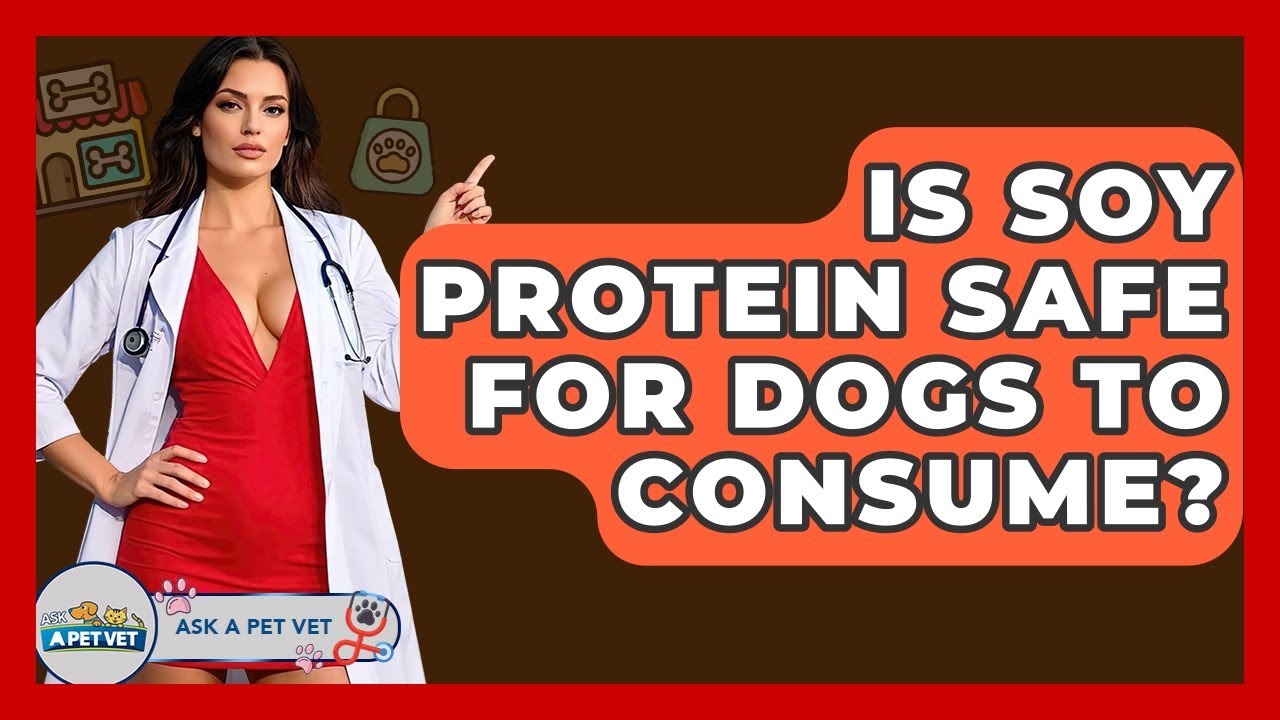 Is Soy Protein Safe For Dogs To Consume? - Ask A Pet Vet - YouTube