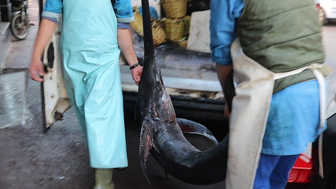 Amazing Whole Swordfish Cutting Steaks - YouTube