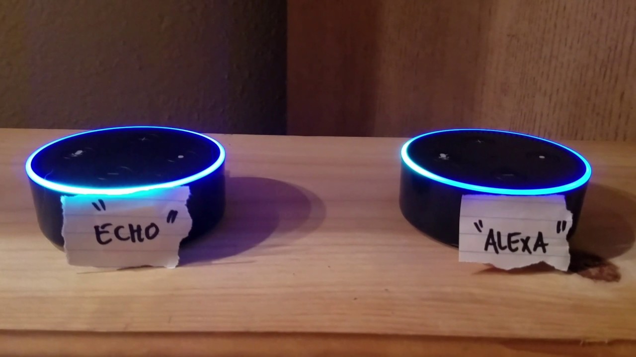 Amazon Echo Dots Barking At Each Other YouTube amazon-echo-dots-barking-at-each-other-youtube