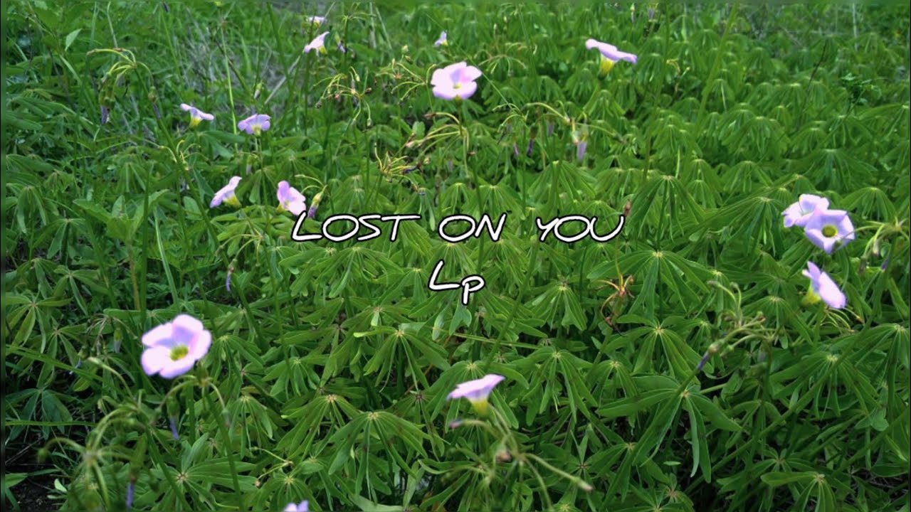 Lost On You - LP (lyrics) - YouTube