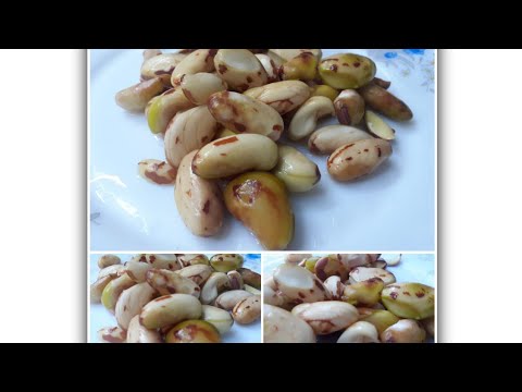 কাঁঠালের বিচি পরিষ্কার ।। Jackfruit Seeds Wash - YouTube
