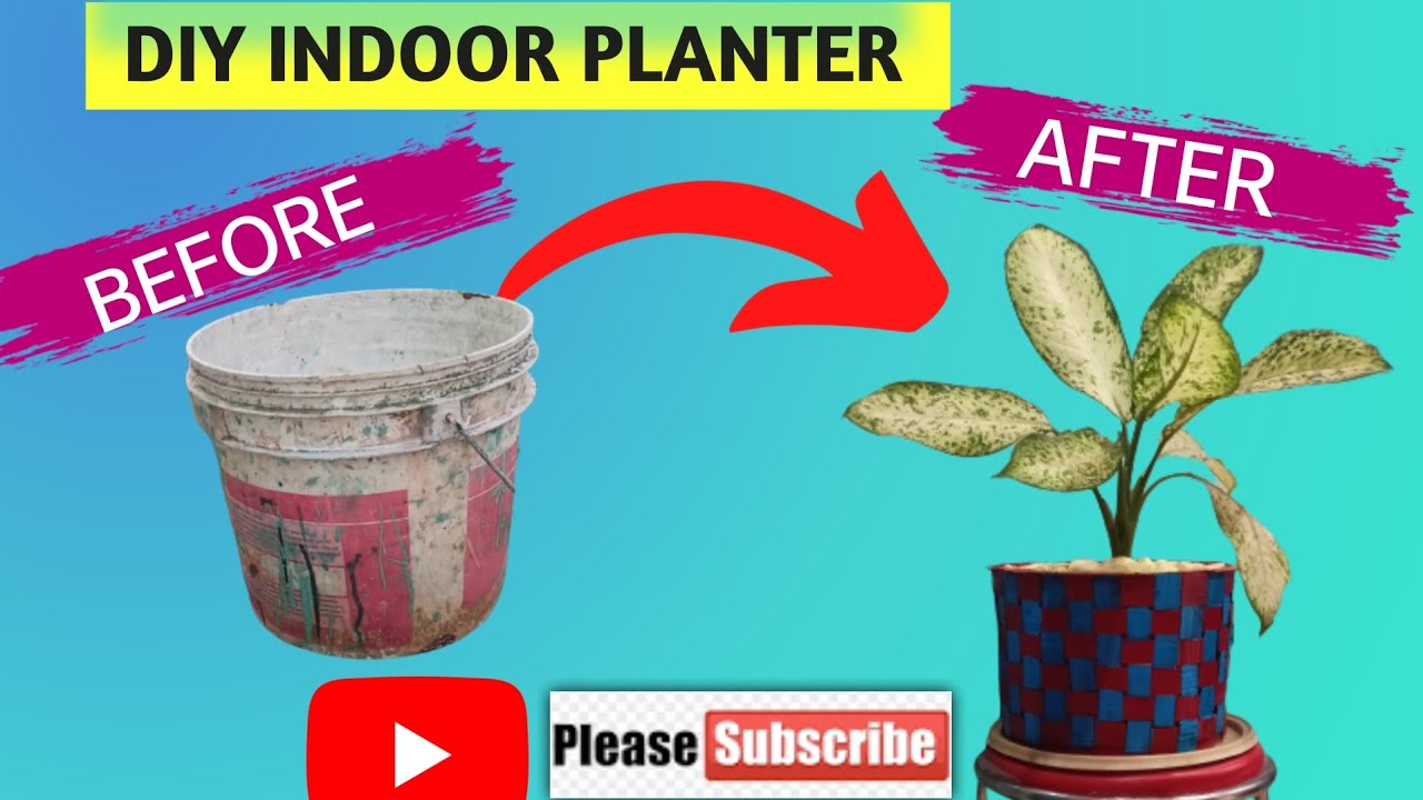 DIY INDOOR PLANTER USING REJECT BUCKET 🪣 - YouTube