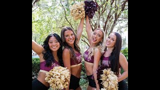 FSU Golden Girls | 2015 Florida State Seminoles ACC College Football by ...
