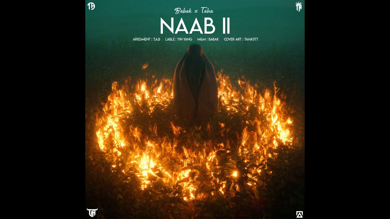 Babak Habibi - NAAB II (Feat. Taha SST) - Official Audio - YouTube