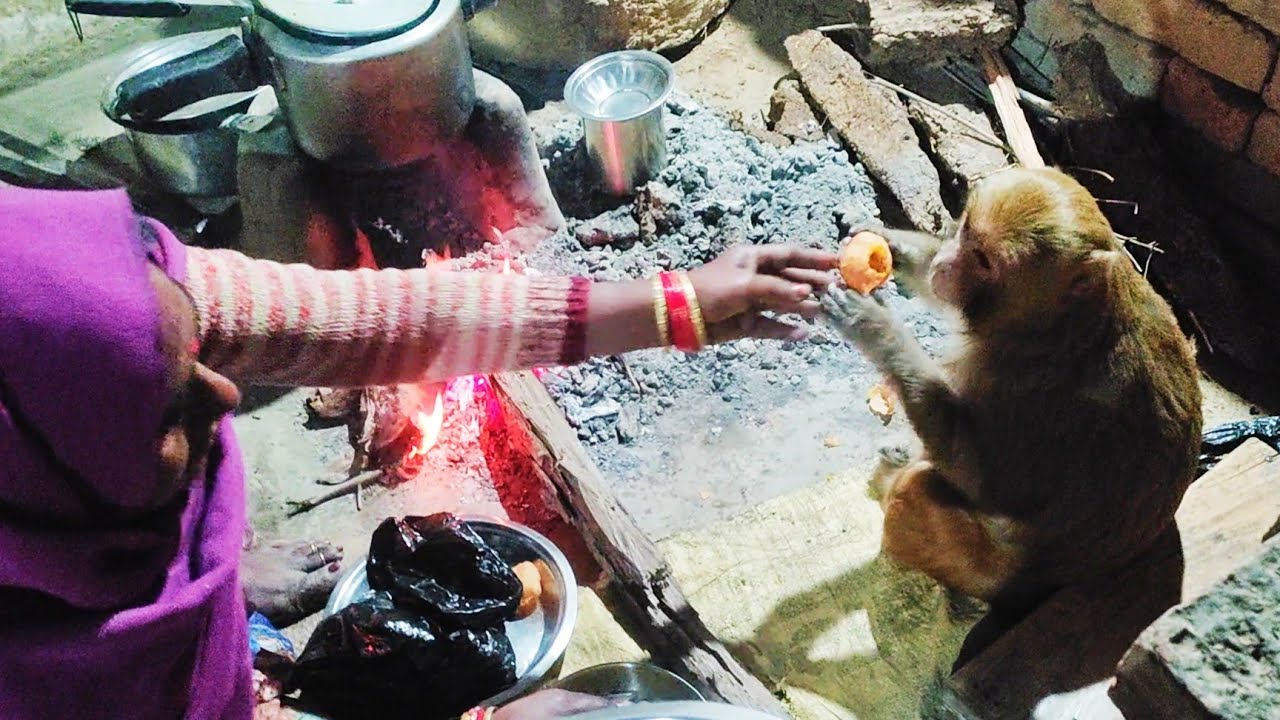 Rani Pani poori kaise khati hai 😂😂।। - YouTube
