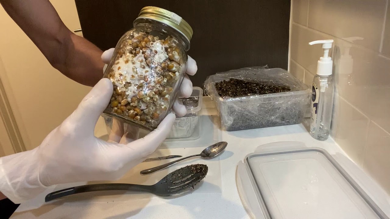 How to mix bulk substrate and grain spawn - YouTube