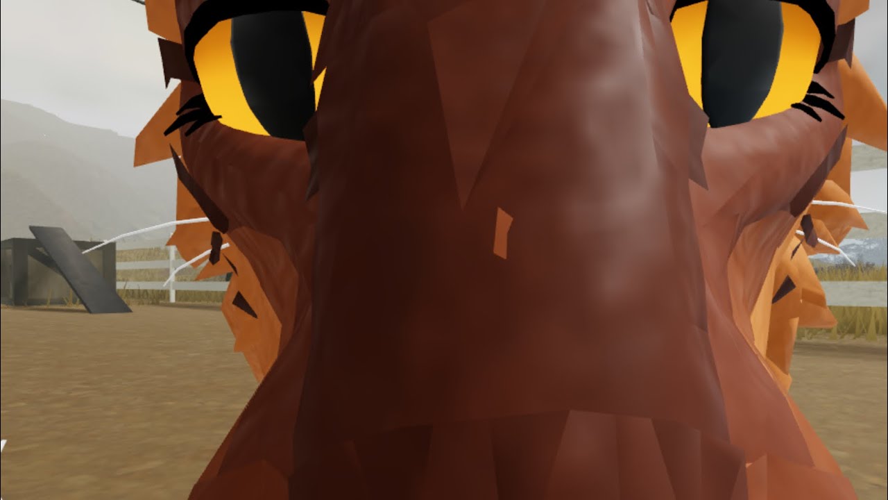 random wcue edit - YouTube