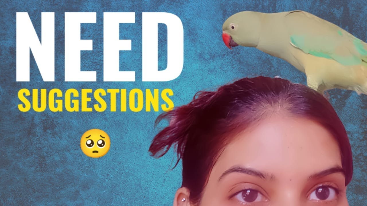 how to start bird business | Expensive bird Species | Breeding kaise ...