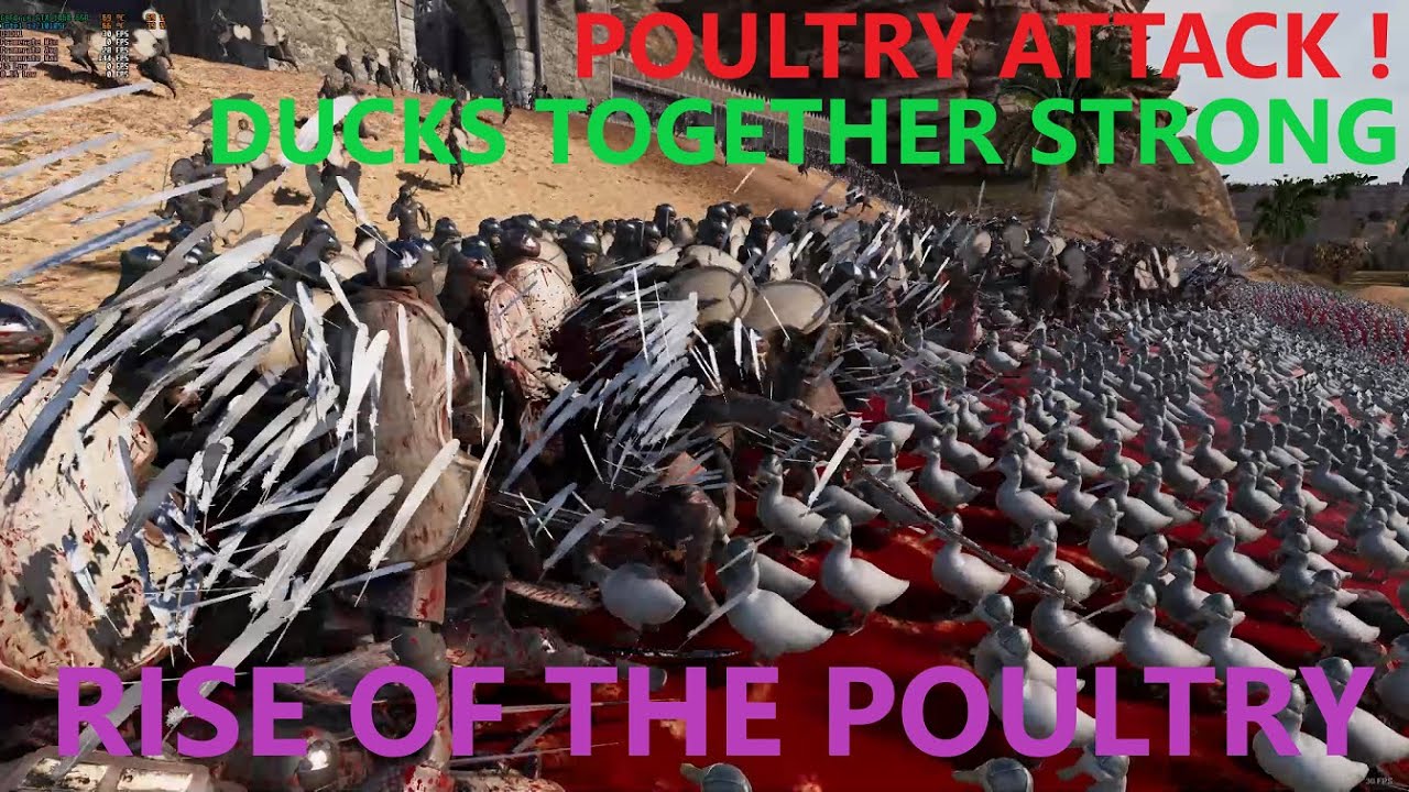 Ducks together STRONG ! 30.000 Battle Ducks invades a Village ...