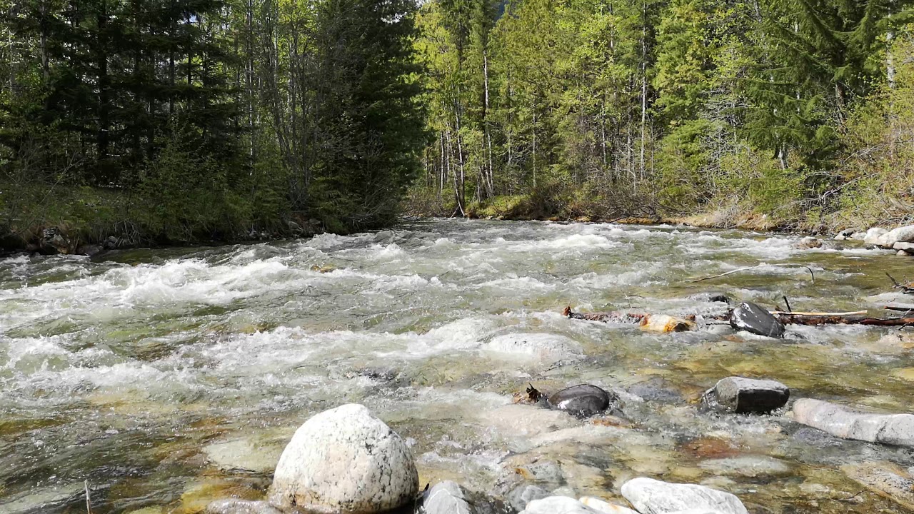 4k River in BC, Canada. 60 Minutes of Relaxation in Ultra HD Nature ...
