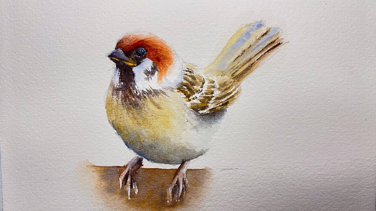 How To Paint A Small Bird In Watercolor - YouTube