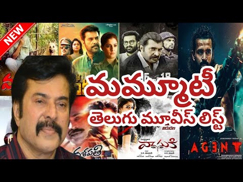 Mammootty All Telugu Movies List | Mammotty Movies In Telugu - YouTube