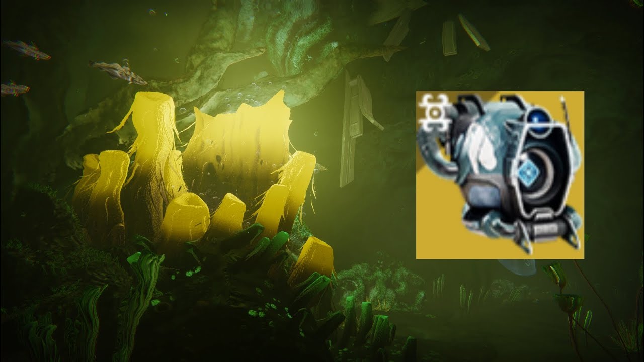 How to get the NEW Síocháin scuba exotic ghost shell - YouTube