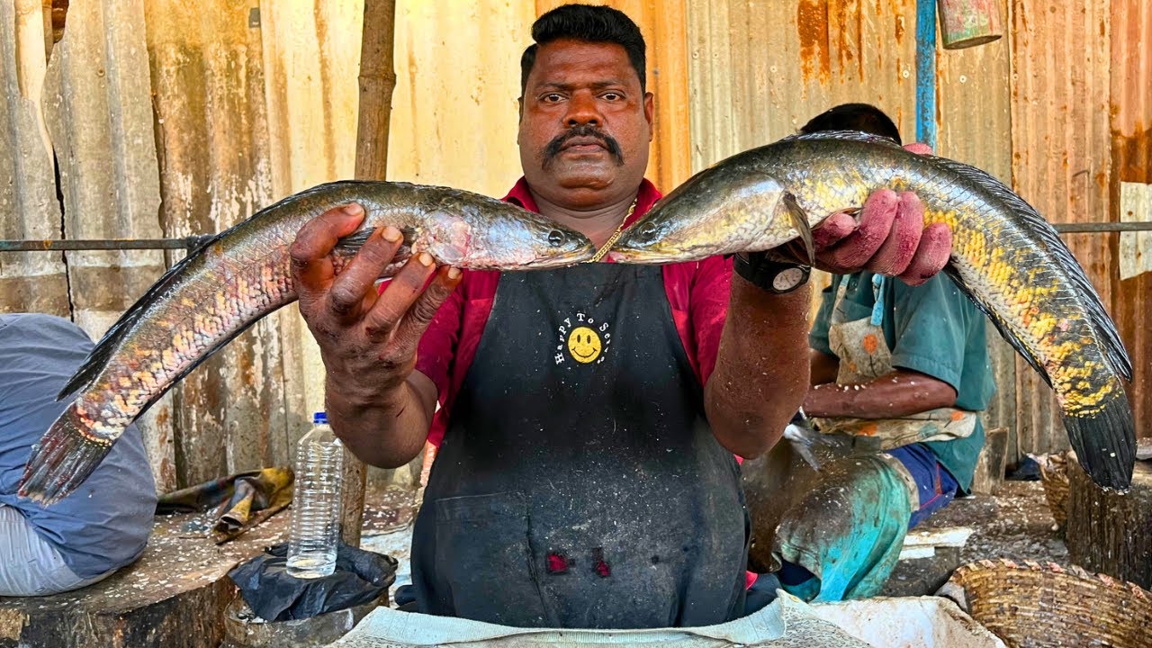 KASIMEDU SPEED SELVAM RARE LIVE (VIRAL) FISH CUTTING VIDEO / CUTTING ...
