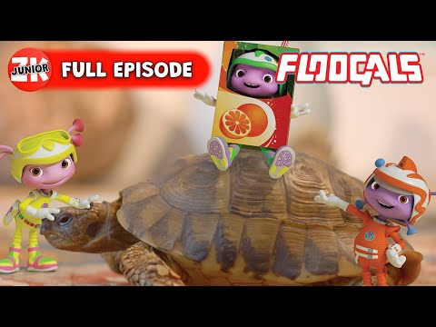 Project Tortoise - FLOOGALS TAKEOVER on ZeeKay Junior