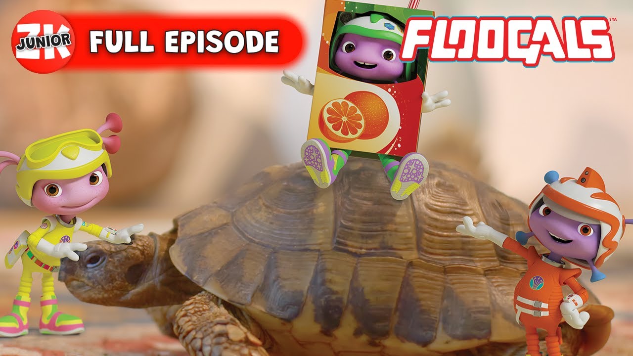 Project Tortoise - FLOOGALS TAKEOVER on ZeeKay Junior - YouTube