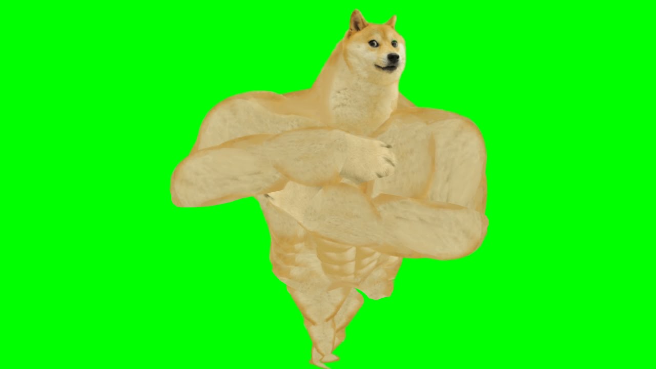 Doge Dancing Green Screen || Doge Green Screen - YouTube