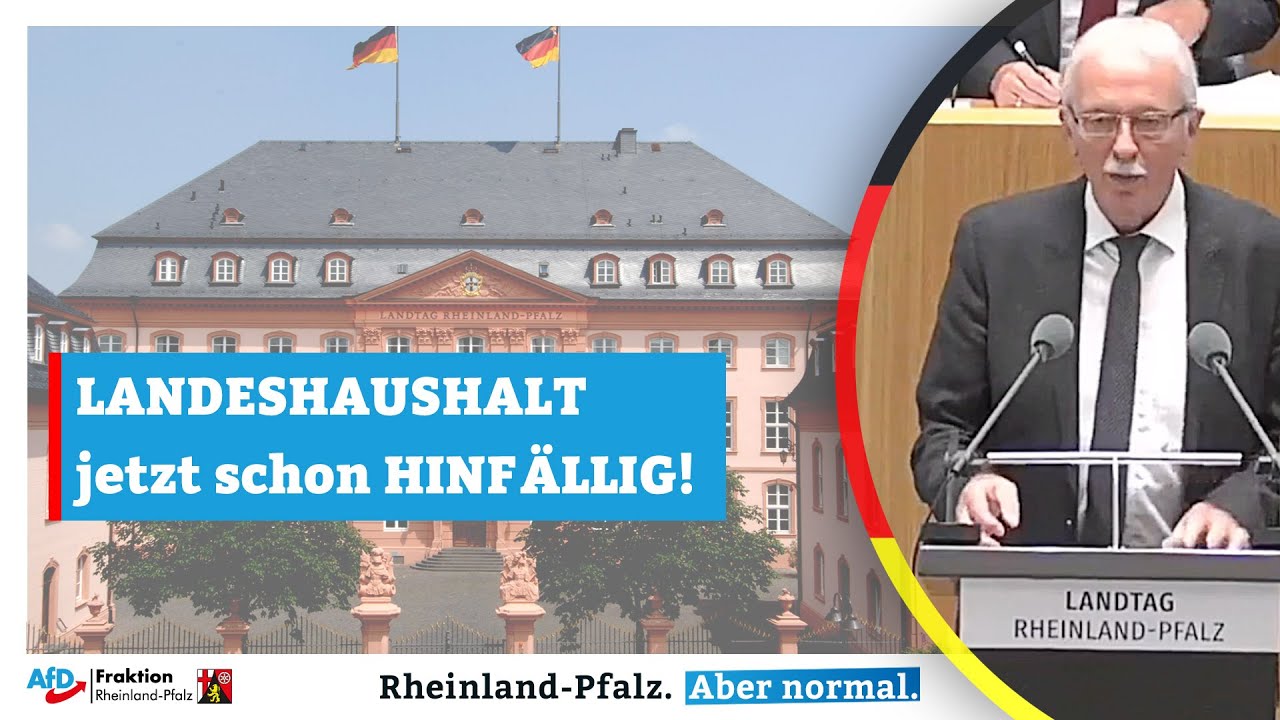 Michael Frisch (AfD-Fraktion) Landeshaushalt jetzt schon hinfällig ...