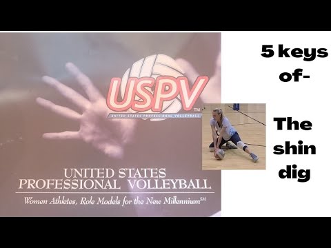 shin dig defensive technique - YouTube