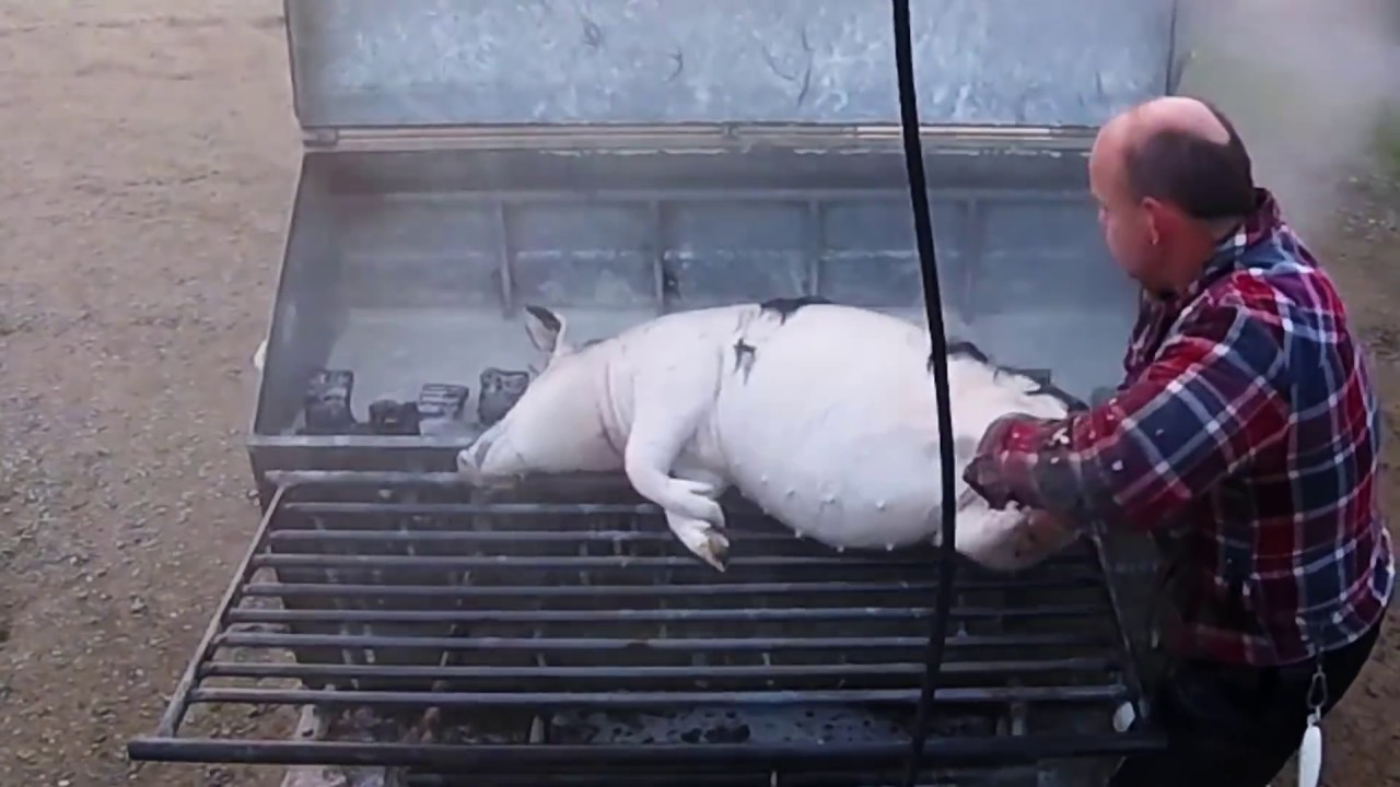 Black pig turns white after scalding. - YouTube