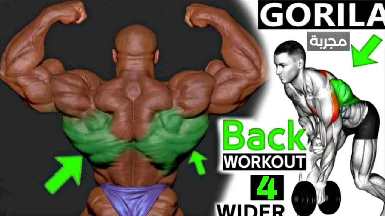 The 4 Best Back Exercises - Inner Back Muscles (Beginners ...