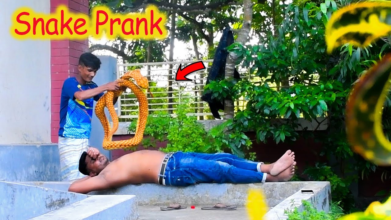 King Cobra Snake Prank 🐍 (Part 15) | Fake Snake Prank Video | 4 Minute ...