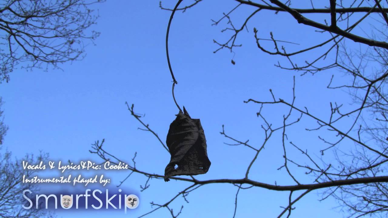 〖Cookie feat. SmurfSkip〗-ひらり(Flattere) 【German Fancover】 - YouTube