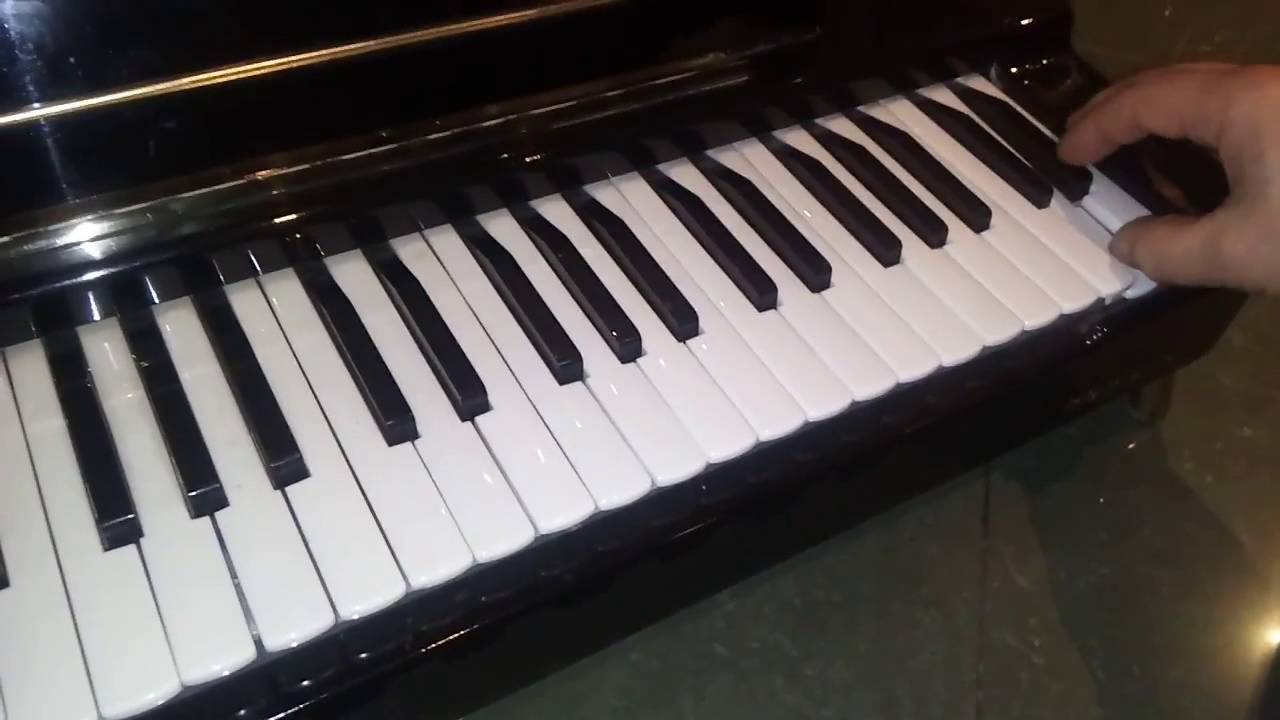 Hohner Organa - YouTube