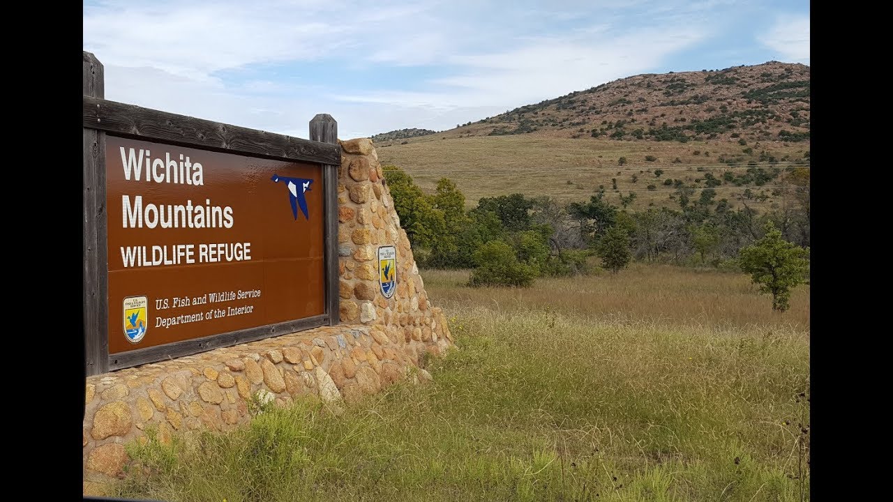 "ANIMALS!" - Location Scouting - YouTube