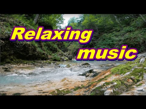 Relaxing music for sleep, meditation and stress management.Sounds of the forest.