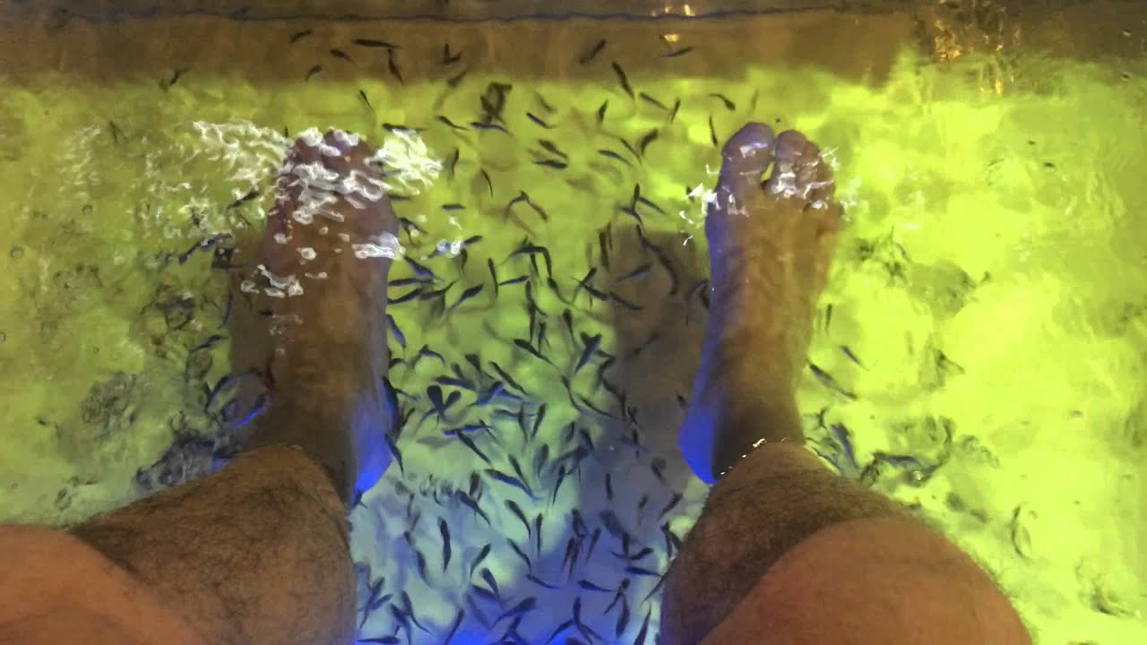 Fish Foot Therapy - YouTube