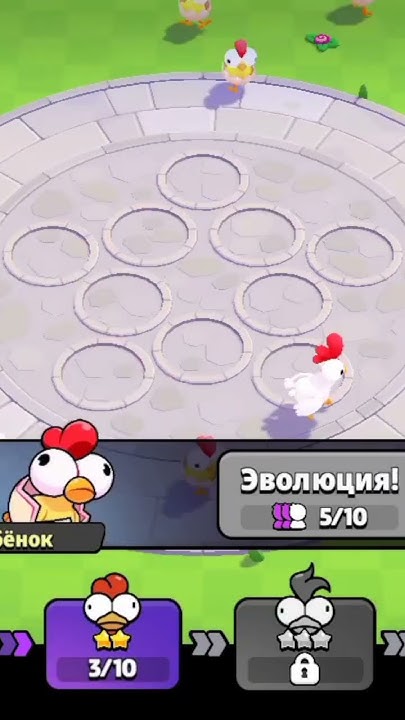 куриные бега. - YouTube