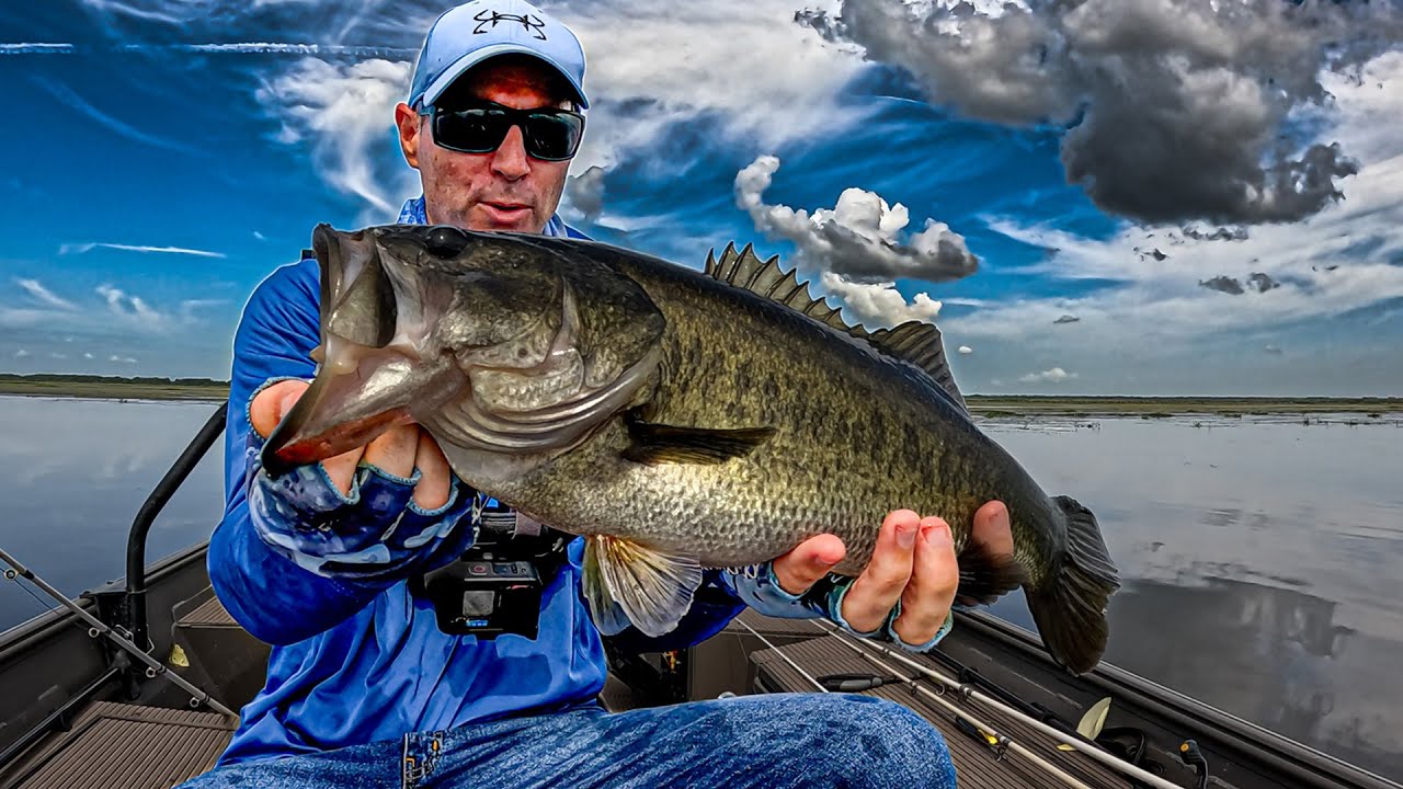 Your Swimbait Bass Fishing Will Never Be The Same after this Video ...