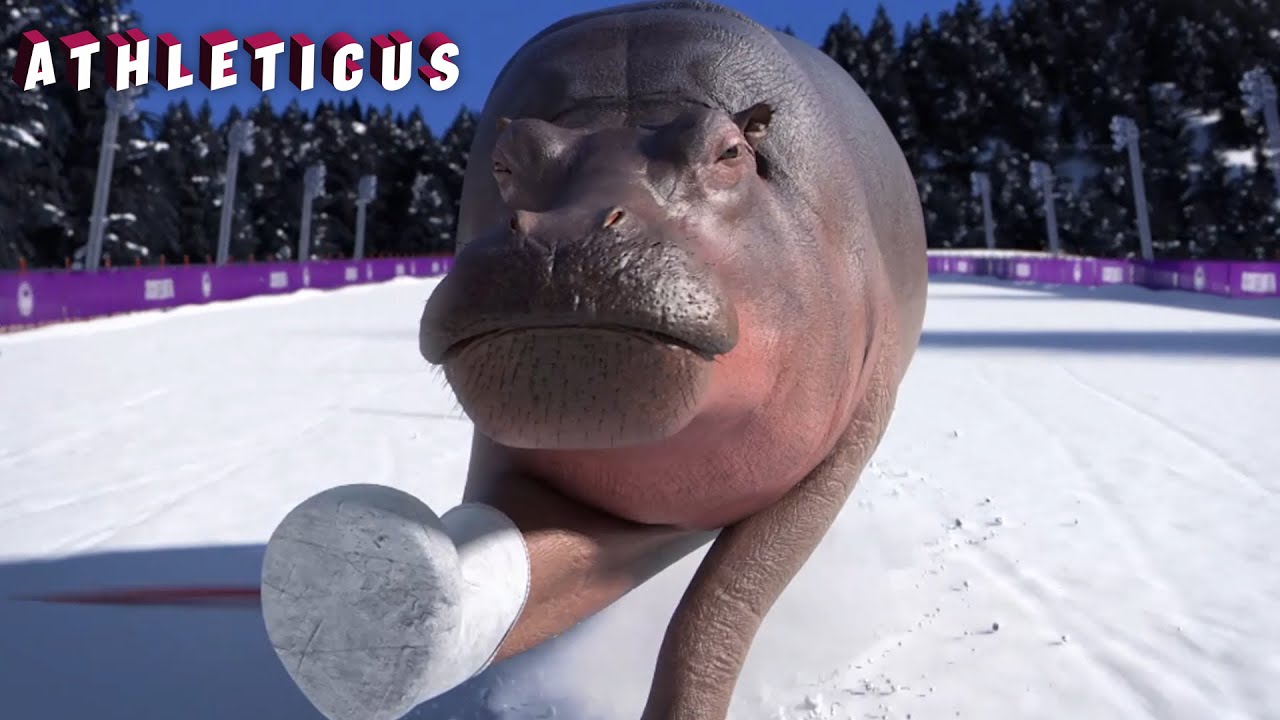 ANYTHING IS IMPOSSIBLE 🎿 ATHLETICUS | Cartoon in English - YouTube