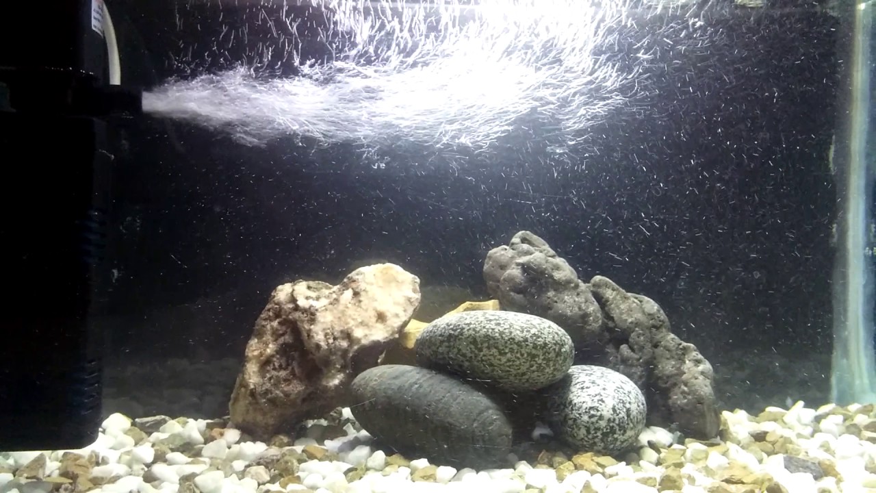 Power Head filter 3 in 1 Fish acquarium cleaning urdu hindi - YouTube