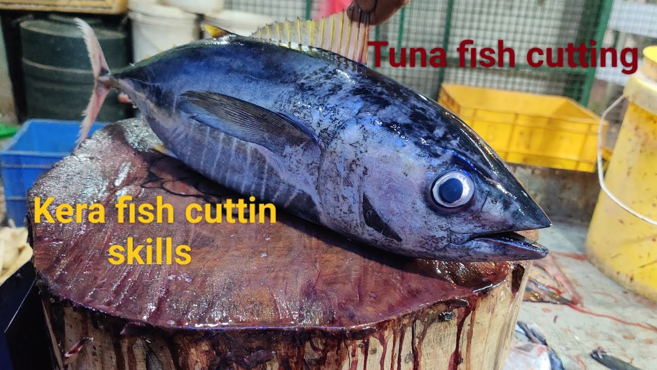 Kera fish cutting || Tuna fish cutting skills 🧑‍💻 cutting 🔥 Video ...