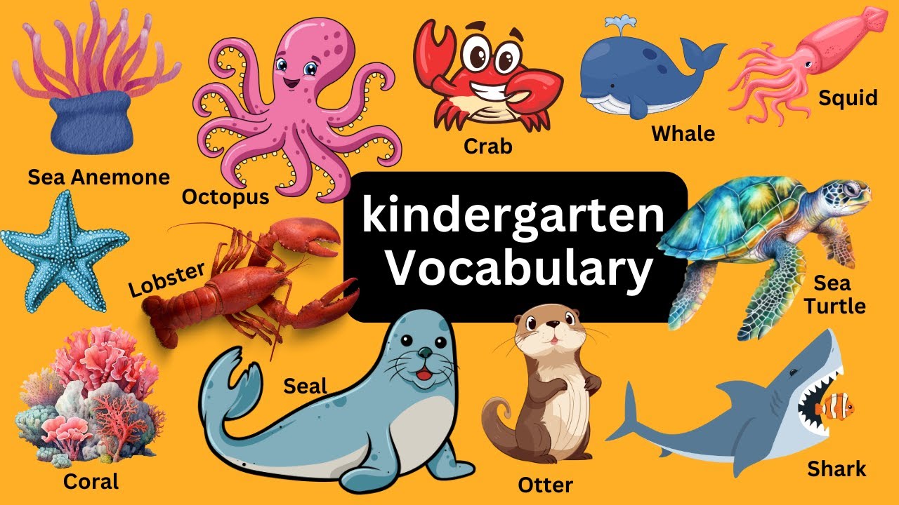 Kindergarten English Vocabulary Words | Kindergarten Vocabulary - YouTube