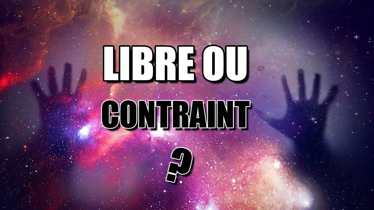 Le libre arbitre existe-t-il ? - YouTube