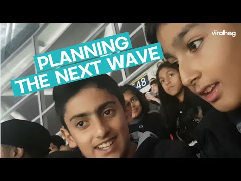 How To Get 82,000 Fans to Start a Mexican Wave || ViralHog