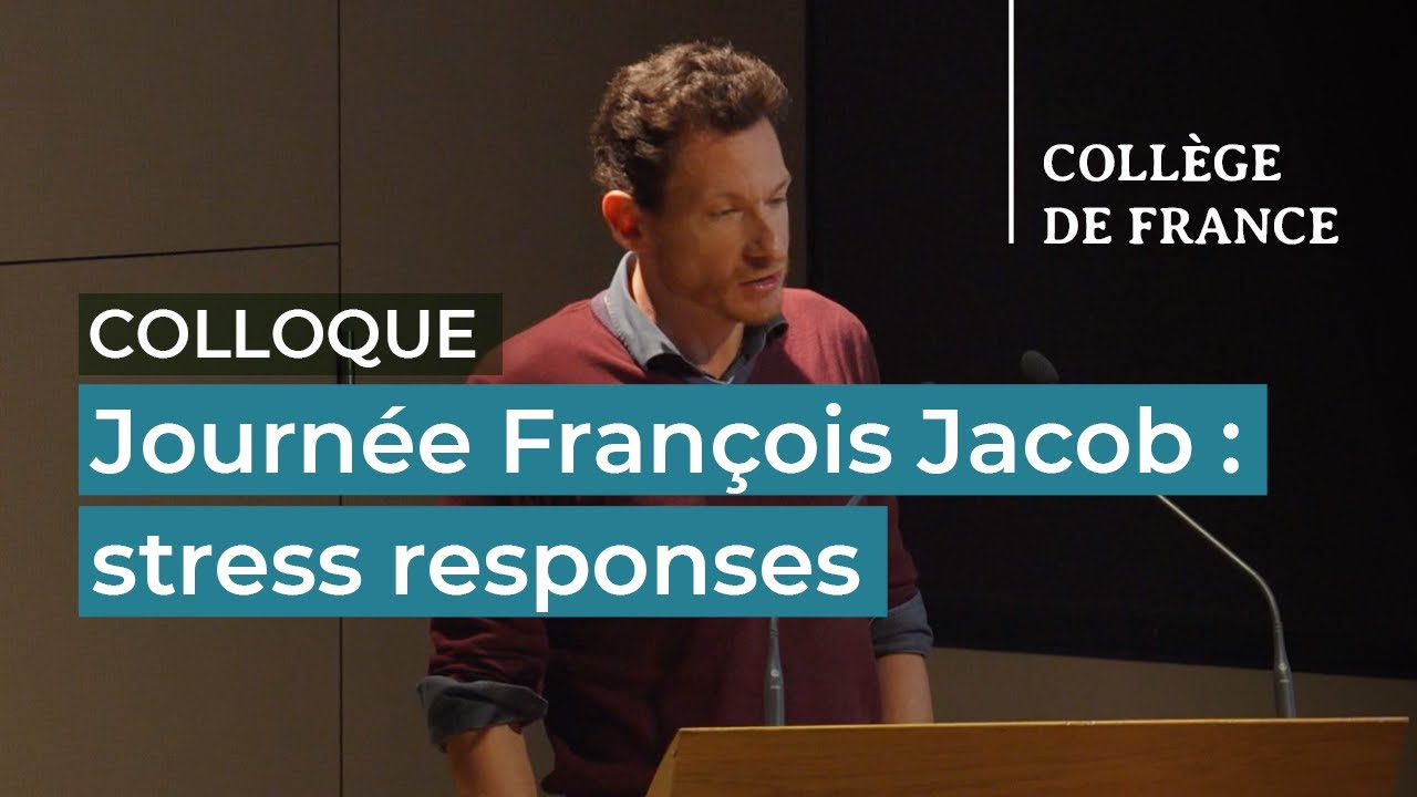 Journée François Jacob : Stress Responses (2) - Alexandre Puissant ...