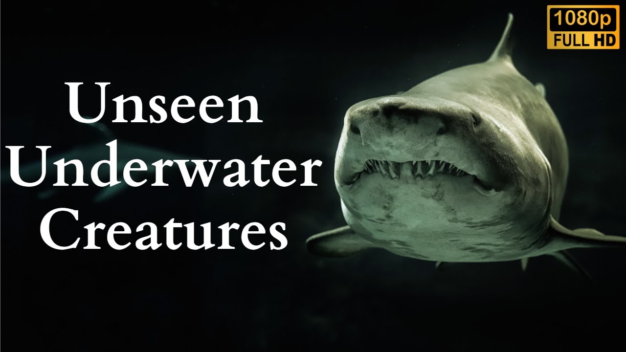 Unseen Underwater Creatures | Deep Ocean Creatures | Compilation Video ...
