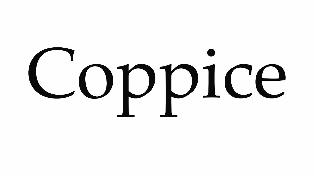 How to Pronounce Coppice - YouTube