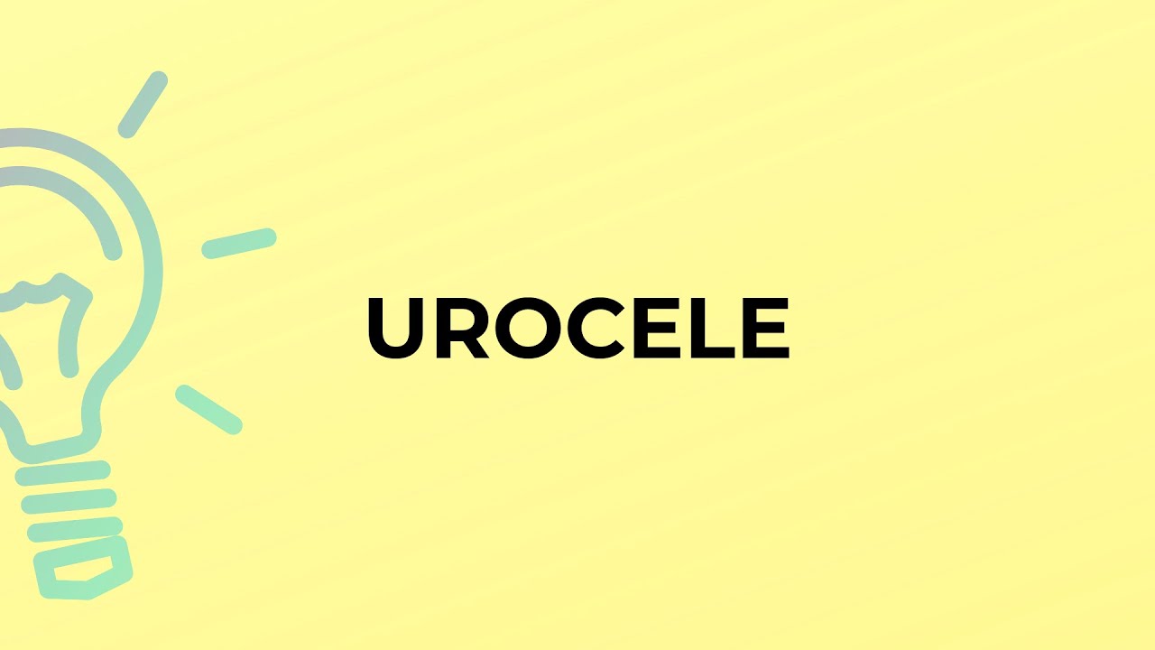 What is the meaning of the word UROCELE? - YouTube