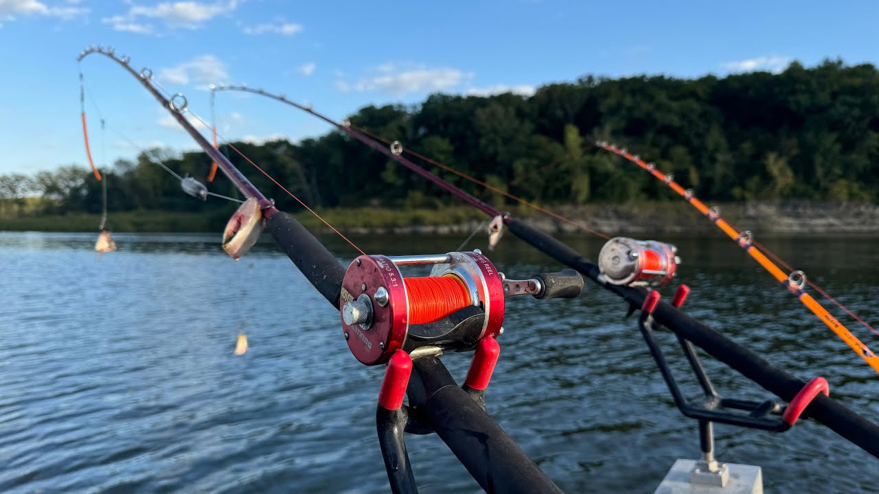 Is this the NEW BEST CATFISHING RIG?!? - YouTube