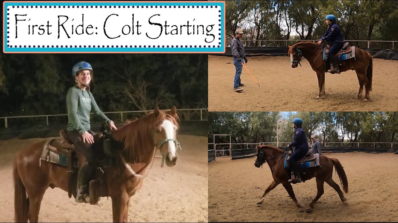 First Ride on my new horse! | Colt starting using Clinton Anderson's ...