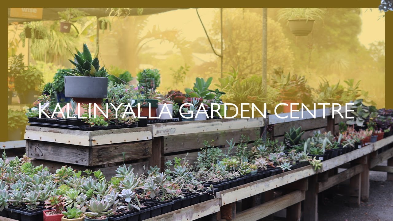 Kallinyalla Garden Centre Walkthrough - YouTube