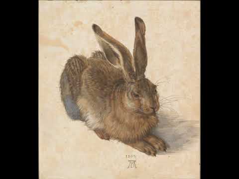 LIEBRE Alberto Durero - YouTube