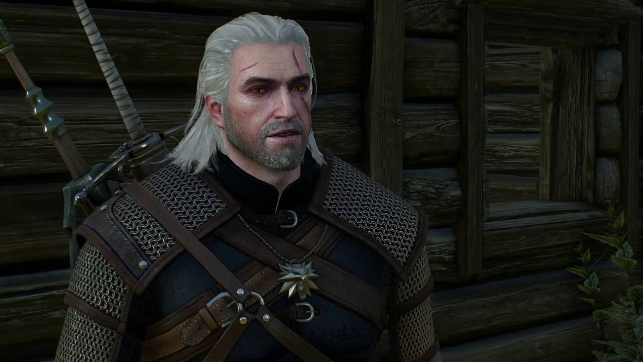 The Witcher 3 1.22 Bug Merchant Appears on Herborist placement - YouTube