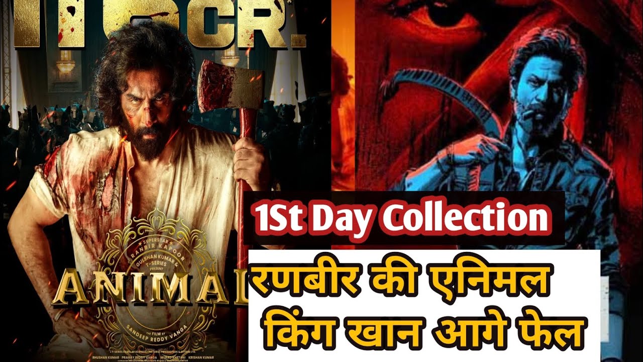 Animal 1st Day Collection | Animal box office collection today - YouTube